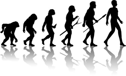 Human Evolution Vector Images (over 13,000)