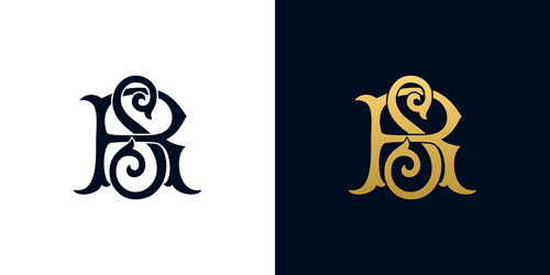 Initial letters rs monogram logo design bundle Vector Image