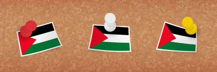 Afghanistan flag pinned in cork board three Vector Image