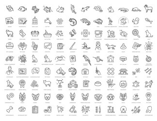 Veterinary clinic brochure vet center booklet Vector Image