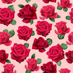 Set of gorgeous red roses bud of gorgeous garden Vector Image
