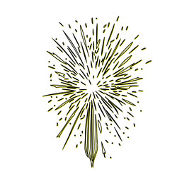 Celebration fireworks splash outline sketch yellow