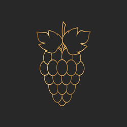Golden Grapes Vector Images (over 990)