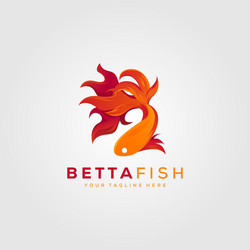 Betta fish fighting fish logo design template Vector Image