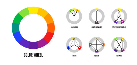 Color theory template with circle Royalty Free Vector Image