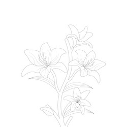 Lily Outline Vector Images (over 5,800)