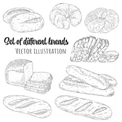 Bread Loaf Outline Vector Images (over 5,300)