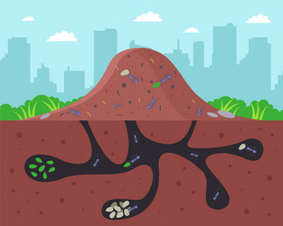 Anthill Vector Images (over 930)