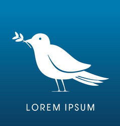 Dove Shadow Vector Images (over 1,200)