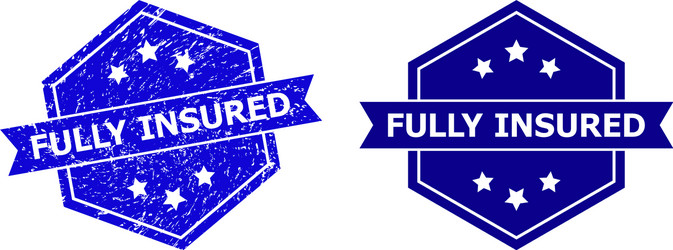 Fully Insured Badge Vector Images (over 220)