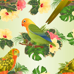 Conure Vector Images (over 110)
