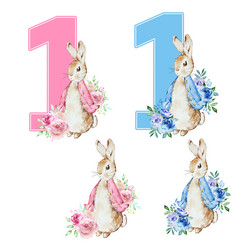 Peter Rabbit Vector Images (over 170)