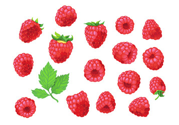 Raspberries Vector Images (over 26,000)