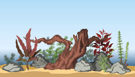 Aquarium underwater interior cartoon Royalty Free Vector