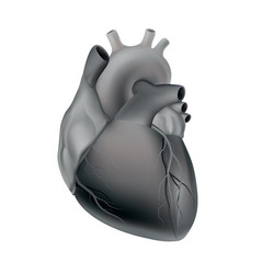Pumping Heart Vector Images (over 2,800)