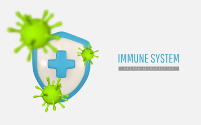 Liver protection 3d liver with veins medical Vector Image