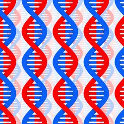 Dna strand pattern seamless deoxyribonucleic acid Vector Image