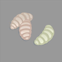 Maggots Vector Images (over 1,500)