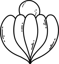 Shell cartoon isolated Royalty Free Vector Image