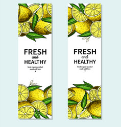 Lemon border drawing citrus fruit frame Royalty Free Vector