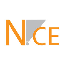 Nice icon logo Royalty Free Vector Image - VectorStock