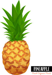 Pineapple Vector Images (over 49,000)