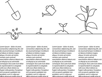 Timeline infographic of planting tree process Vector Image