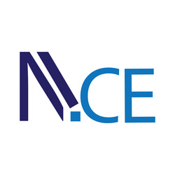 Nice icon logo Royalty Free Vector Image - VectorStock