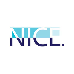 Nice icon logo Royalty Free Vector Image - VectorStock