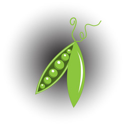 Green pea pod isolated on transparent background Vector Image