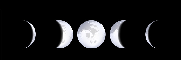 Dark Side of the Moon Vector Images (over 120)