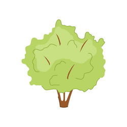 Leaf garden shrub cartoon Royalty Free Vector Image