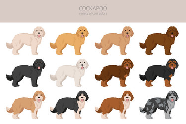 Cockapoo Vector Images (94)