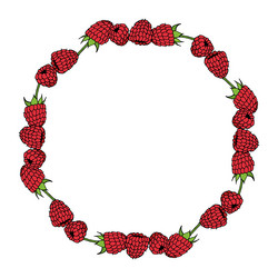 Raspberry Drawing Raspberries Vector Images (over 4,800)