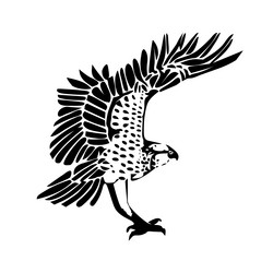 Attacking Eagle Vector Images (over 1,200)