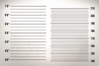 Height Chart in Jail Vector Images (over 140)