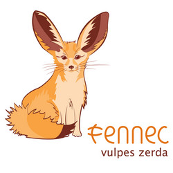 Animated Fennec Fox Vector Images (over 550)