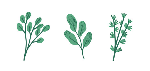 Greenery Vector Images (over 44,000)