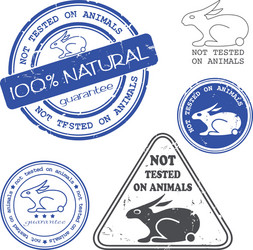 Not tested on animals label sticker set white Vector Image