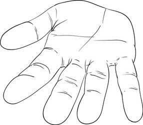 Bare hand Royalty Free Vector Image - VectorStock