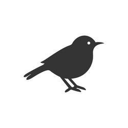 Red Robin Vector Images (over 1,000)
