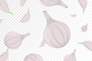 Falling garlic isolated on transparent background Vector Image