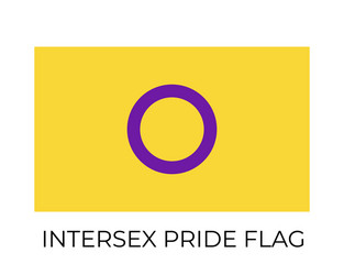 Intersex inclusive progress pride rainbow flags Vector Image