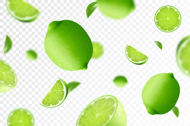 Lime Tree Vector Images (over 2,700)