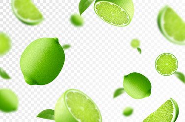 Lime Tree Vector Images (over 2,700)