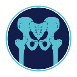 X ray of human pelvis roentgen scan body Vector Image