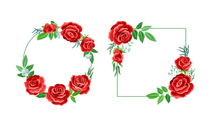 Seamless pattern with red roses beautiful Vector Image