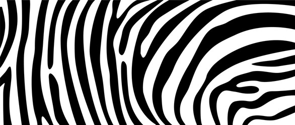 Zebra pattern texture repeating simple Royalty Free Vector