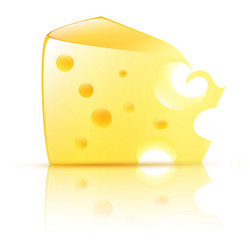 Spoiled cheese slice Royalty Free Vector Image