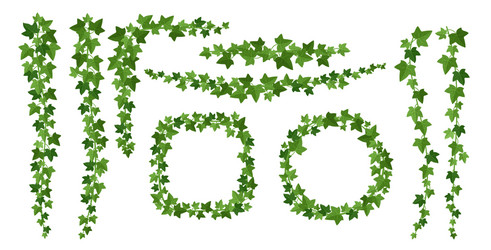 Border Ivy Vector Images (over 1,400)